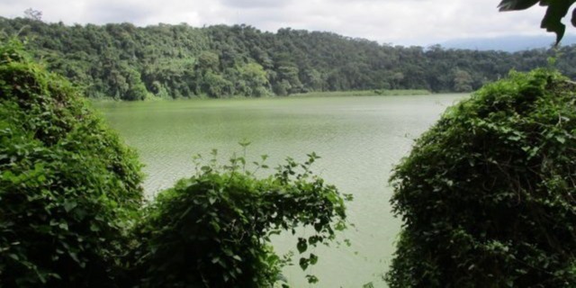 LAKE DULUTI CANOEING DAY TRIP